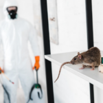 Dry Ice – NATUZZI ICE