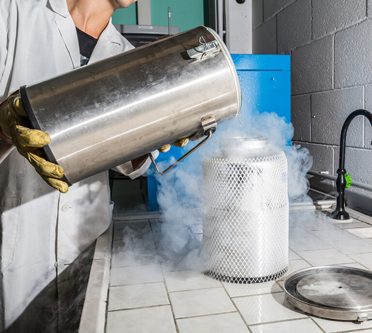 Dry Ice – NATUZZI ICE